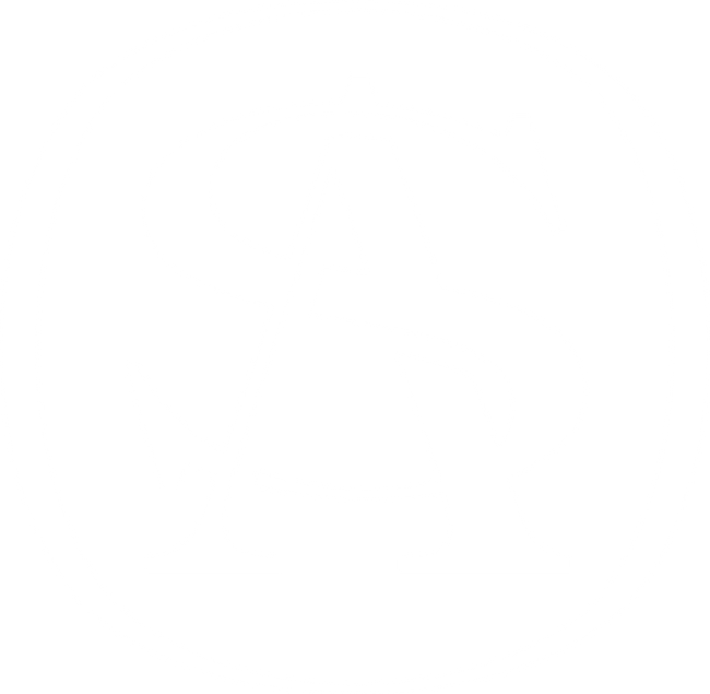 Saccharide Isomerate – Art of Skin Care